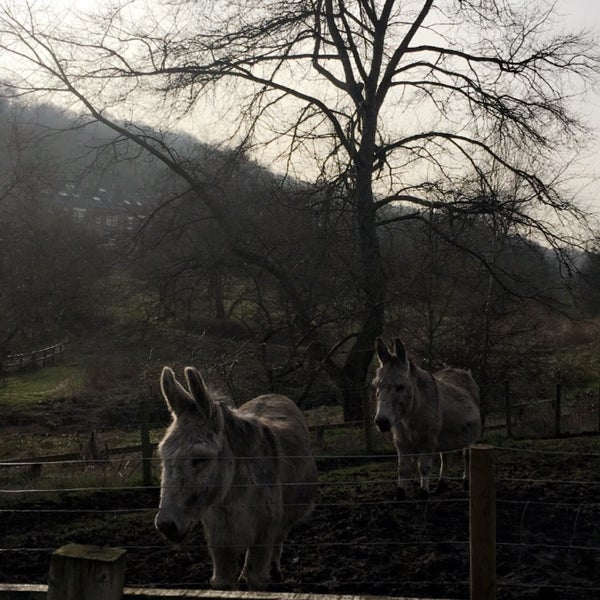 Meanwood Valley Urban Farm - 7 tips from 146 visitors
