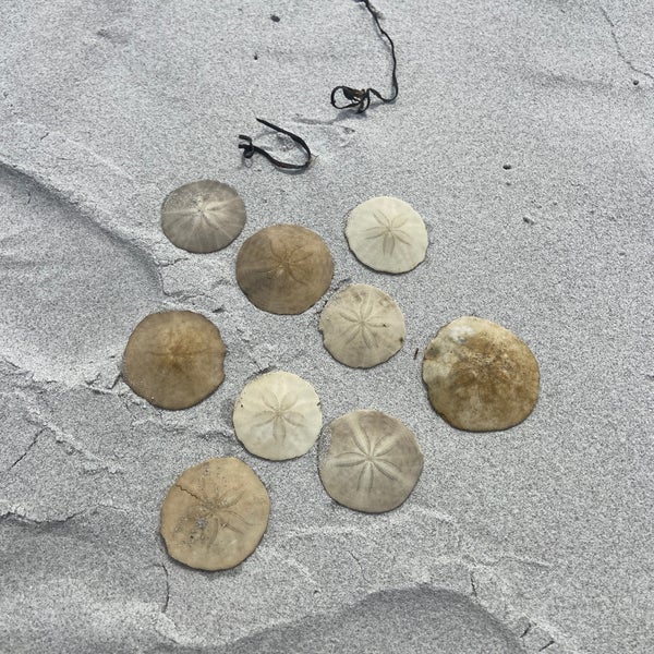 Goose Rocks Beach - 16 tips