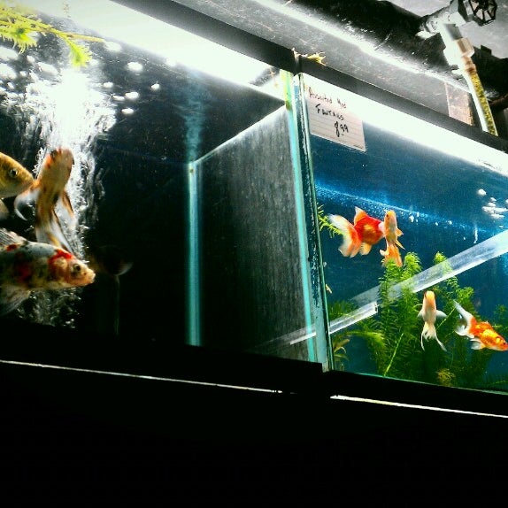 World Wide Aquarium - Pet Supplies Store in Philadelphia