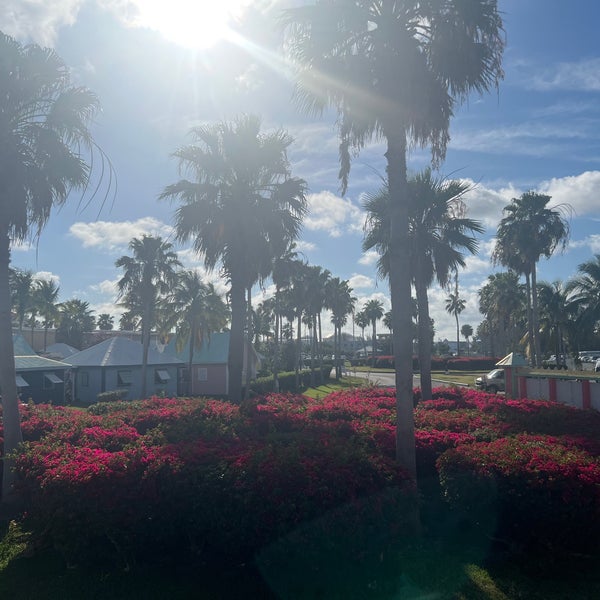 Freeport Harbour - Harbor or Marina in Freeport