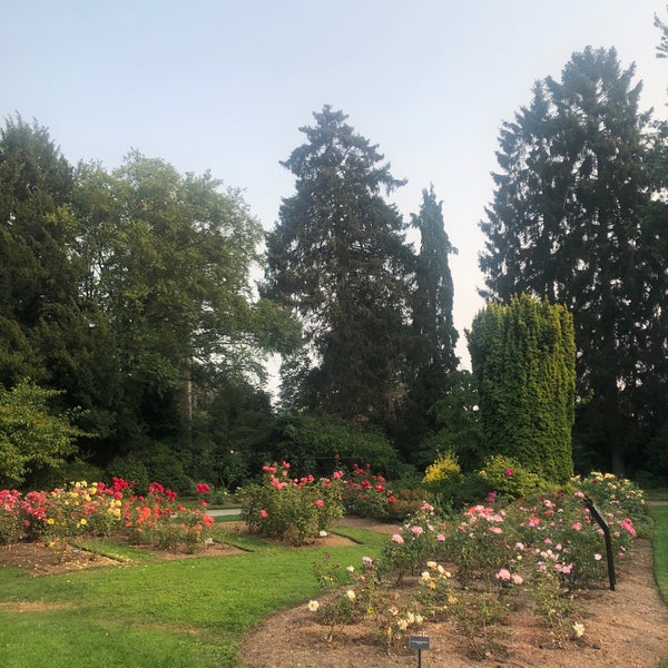 Photos at Woodland Park Rose Garden - Garden in Seattle