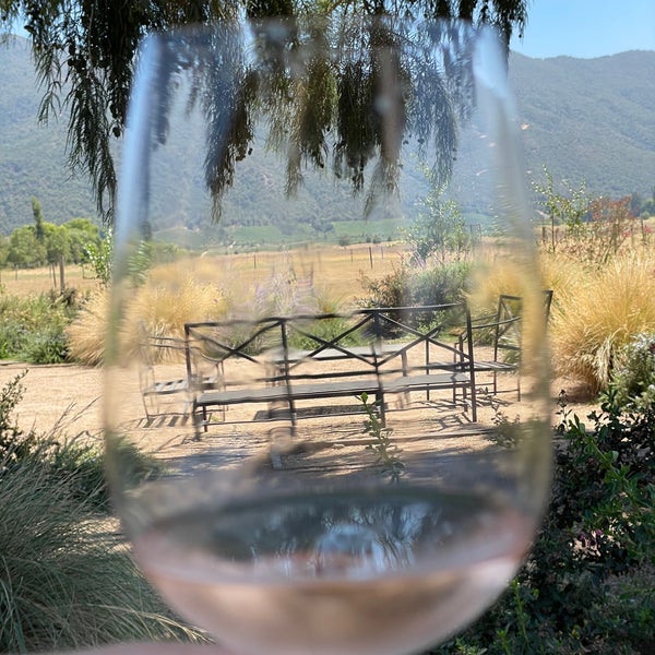 Clos Apalta Winery - Vineyard in Santa Cruz