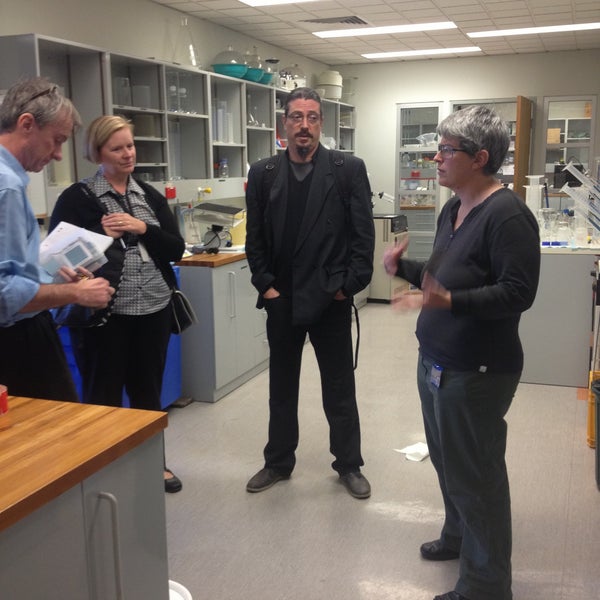 UNSW Gate 11 - University