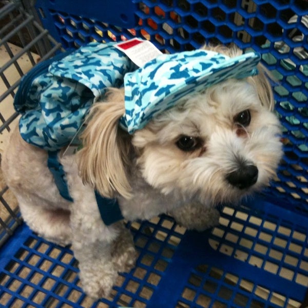 Photos at PetSmart - Brea, CA