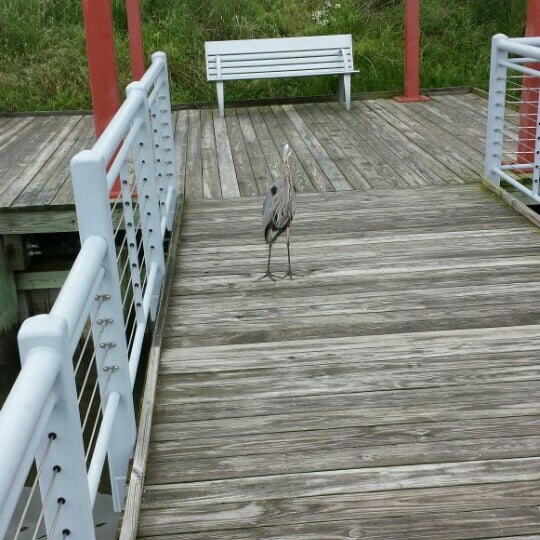 Photos at Wilson Point Park - Park
