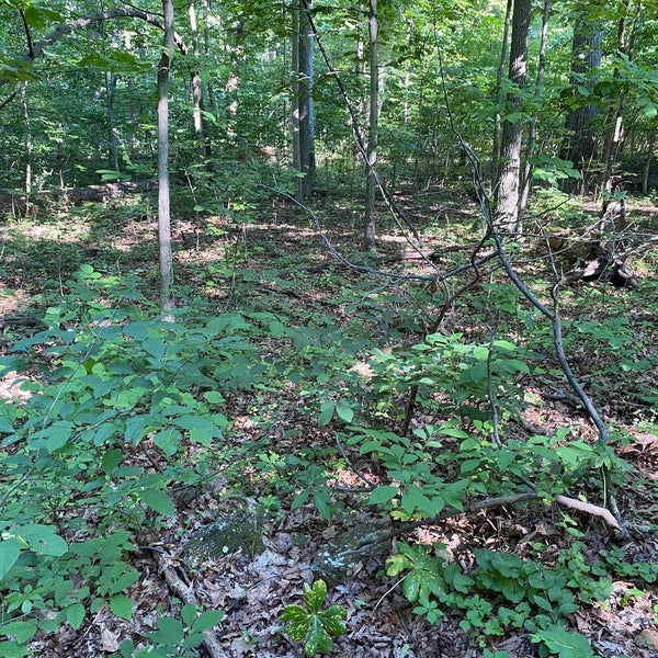 Spangler's Spring - Gettysburg, PA