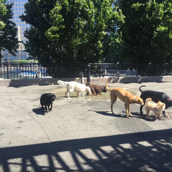 Sirius Dog Run - Battery Park City - New York, NY