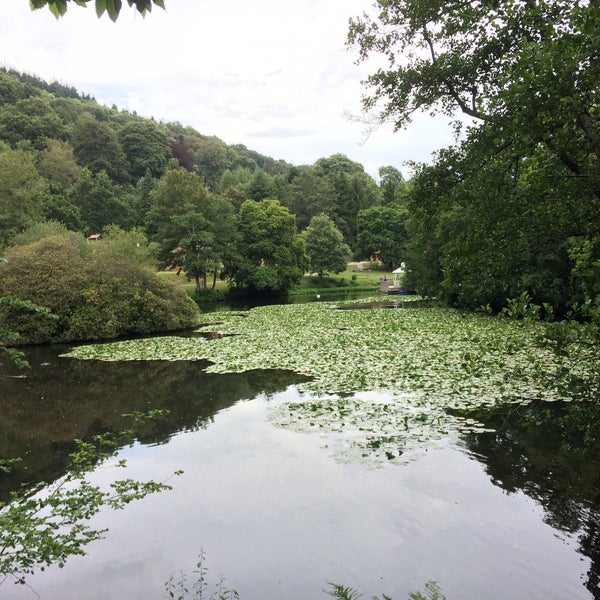 Canonteign Falls - Waterfall