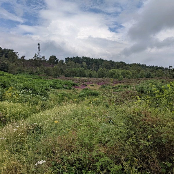 Liss Forest Ranges - Liss, Hampshire