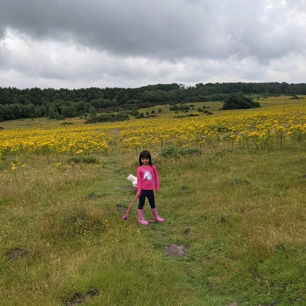 Liss Forest Ranges - Liss, Hampshire