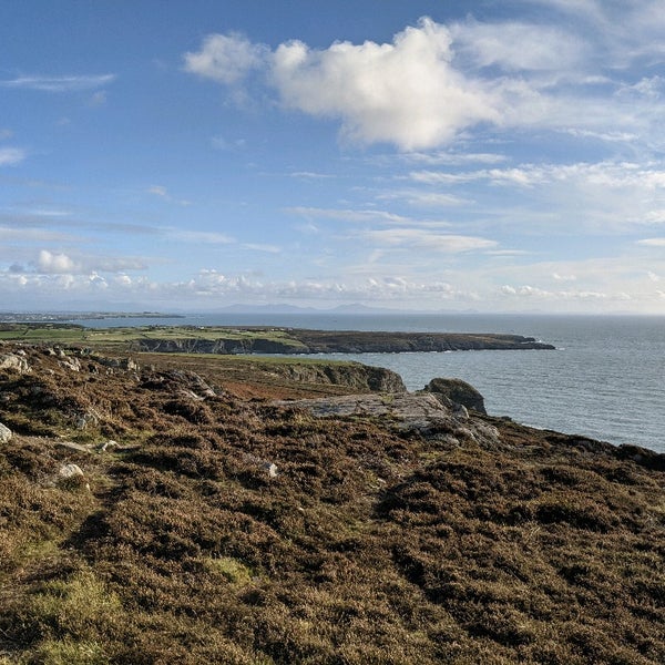 RSPB South Stack Cliffs - 4 tips from 201 visitors