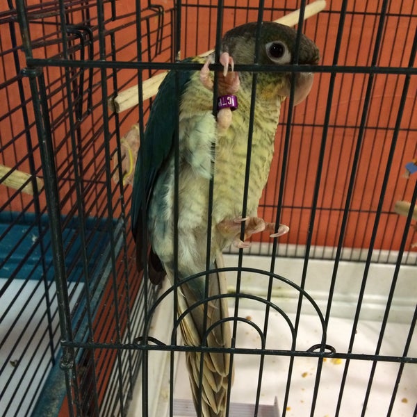 Photos at Preuss Pets - 1127 N Cedar St