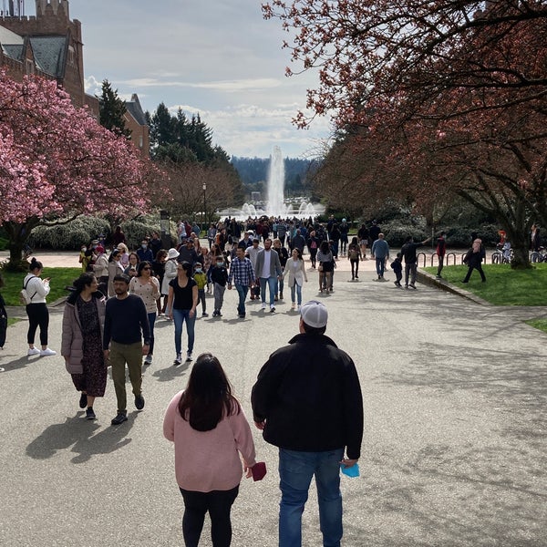 Photos at University of Washington - University District - Seattle, WA