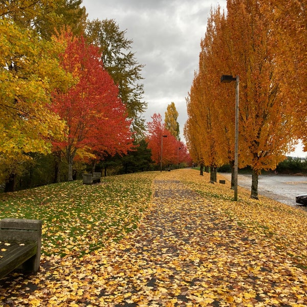 Cedar River Trail - Renton, WA