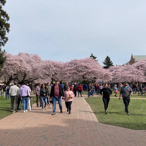 Photos at University of Washington - University District - Seattle, WA