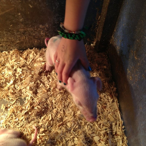 Real Life Farm - Farm in Canton