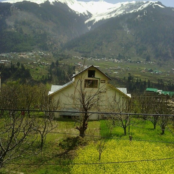 Art Gallert,Manali,Himachal Pradesh - Art Gallery