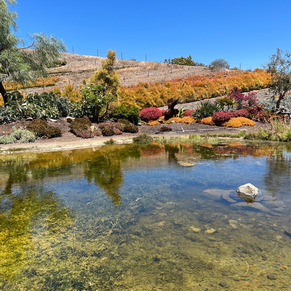 Waterwise Botanicals - 42 visitors