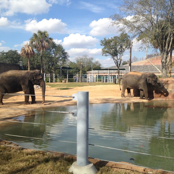 Photos at Houston Zoo - 189 tips