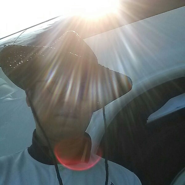 Manheim Dallas - Car Dealership