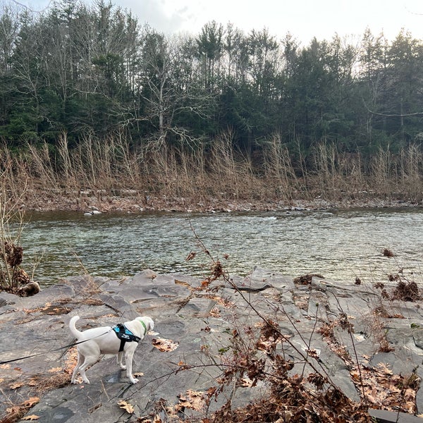 Freehold - Greenville, NY