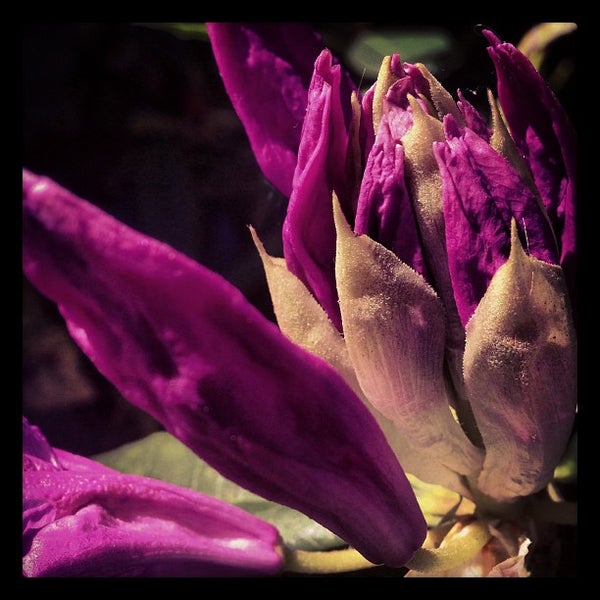 Alpine Hall (ALP) - California State University-Sacramento - Sacramento, CA