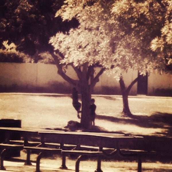 Photos at Stroud Park - Tempe, AZ