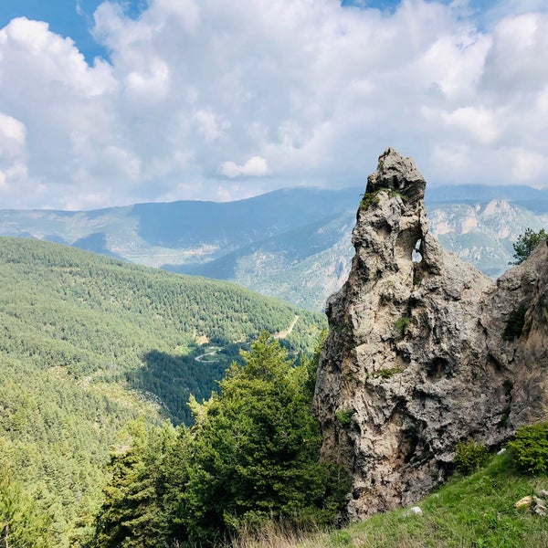 Coll De Port