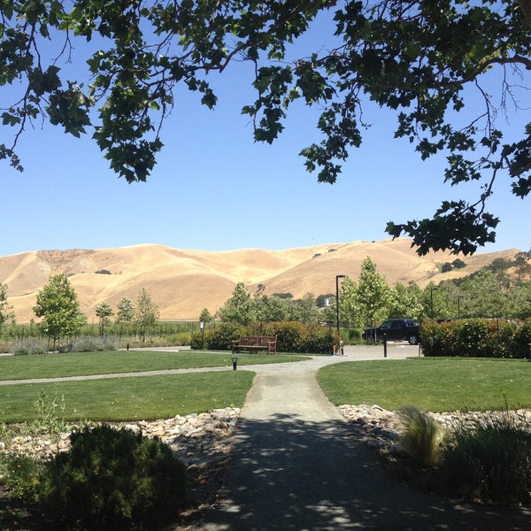 Wente Vineyards - Vineyard