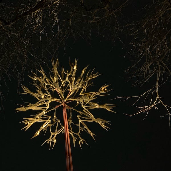 People Tree - Downtown Columbia - Columbia, MD