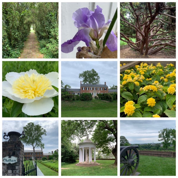 Chatham Manor - History Museum