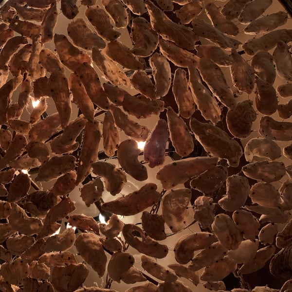 Amen Street - Seafood Restaurant in Charleston