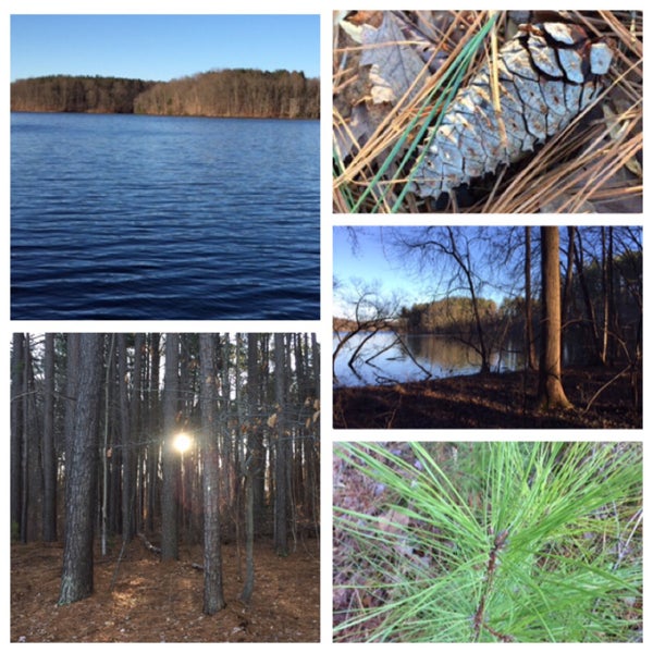 Liberty Reservoir - 4 tips from 399 visitors