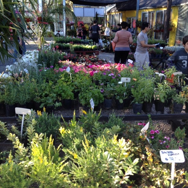 Vivero Agronomía - Vivero en Buenos Aires