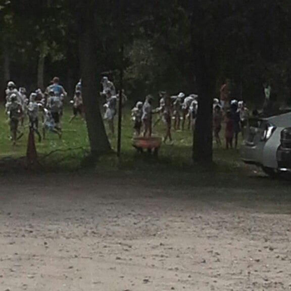 Willow Pool - Swimming Pool in Houston