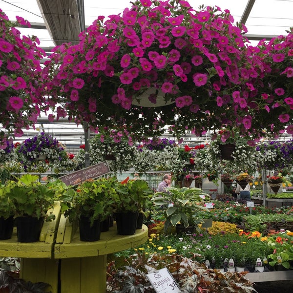 Photos at Shady Maple Farm Market - Supermarket