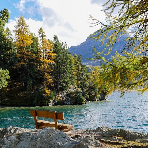 Sils Maria / Segl - Ski Resort and Area