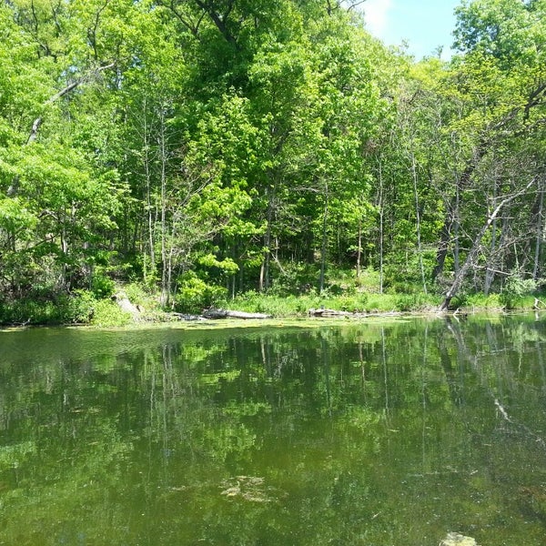 Fonz Pond - Lake Orion, MI