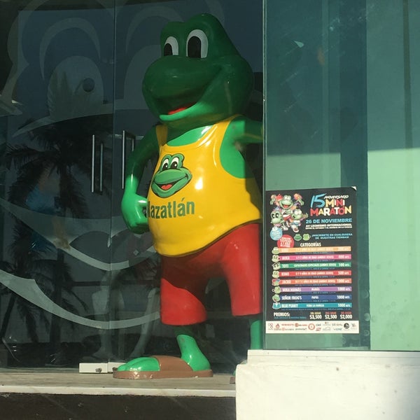 Señor Frog's Official Store - Mazatlán, Sinaloa