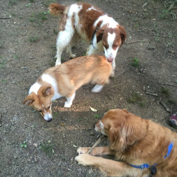 William R. Davie Park - Rain Tree - 8 tips from 652 visitors