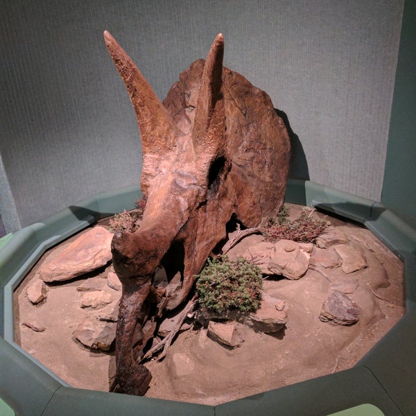 Royal Saskatchewan Museum