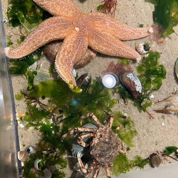 Cape Cod Museum Of Natural History - 7 tips from 462 visitors