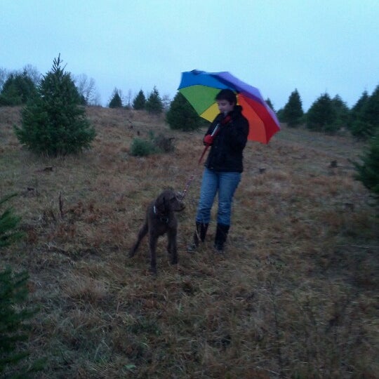 Arend Tree Farm - Farm in Grass Lake