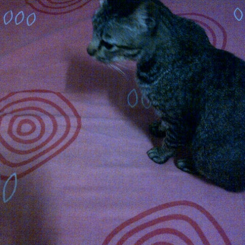 Hyup Soon Industries Sdn Bhd