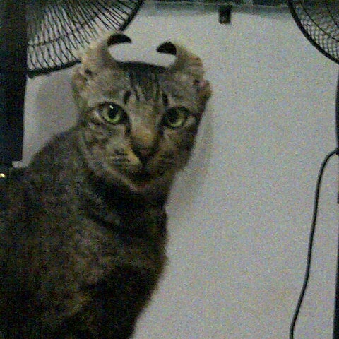 Hyup Soon Industries Sdn Bhd