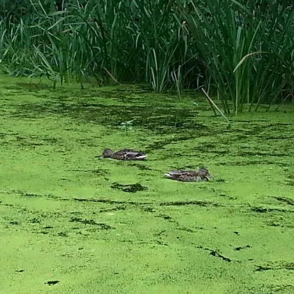 Ramparts - Scenic Lookout