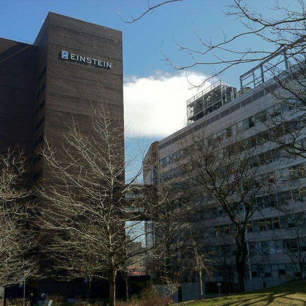 Albert Einstein College of Medicine - Morris Park - 8 tips