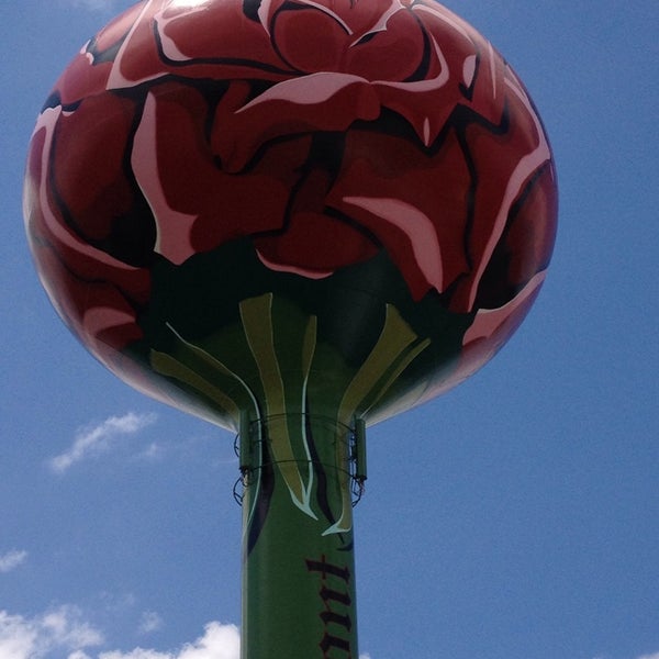 Photos at Rosemont Water Tower - 6 tips from 562 visitors