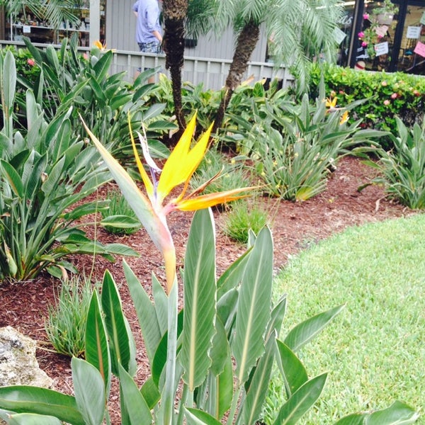 Periwinkle Place - Shopping Mall