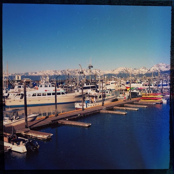 Homer Spit - Harbor / Marina in Homer